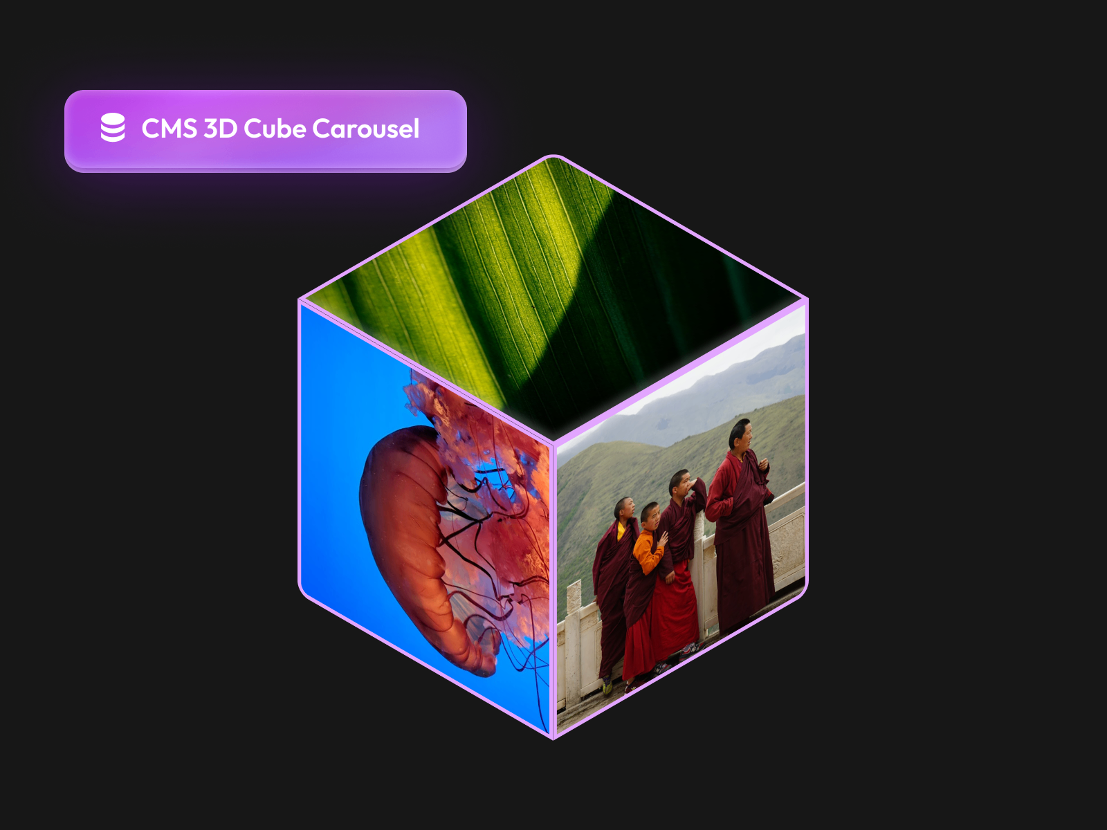 CMS 3D Cube Carousel: Premium Component by Framer Master — Framer Marketplace