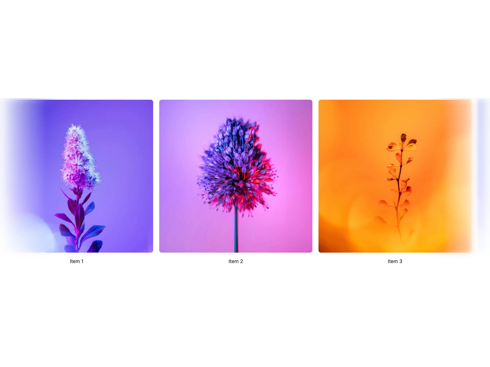 Loop Slide Gallery: Premium UI Component by AGR Studio — Framer Marketplace