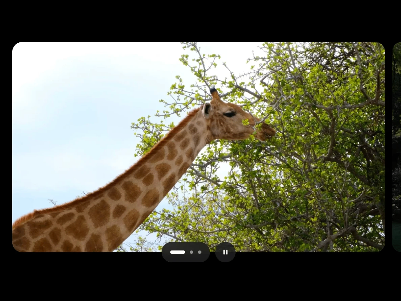 Video Slider Premium: Premium UI Component by Camille HAIDAR — Framer ...