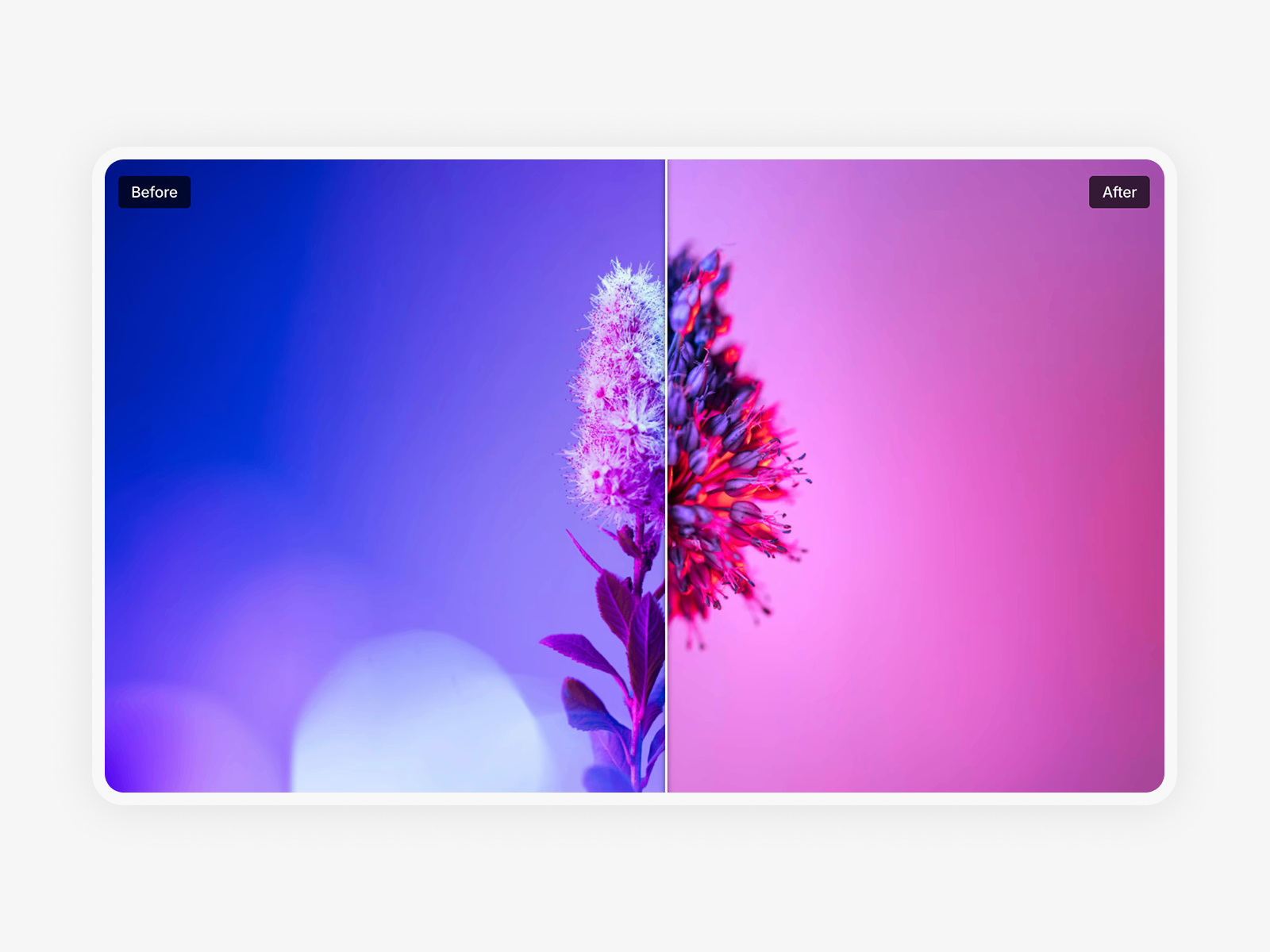 Adaptive Image Slide: Premium UI Component by Sarp Susüzer — Framer ...