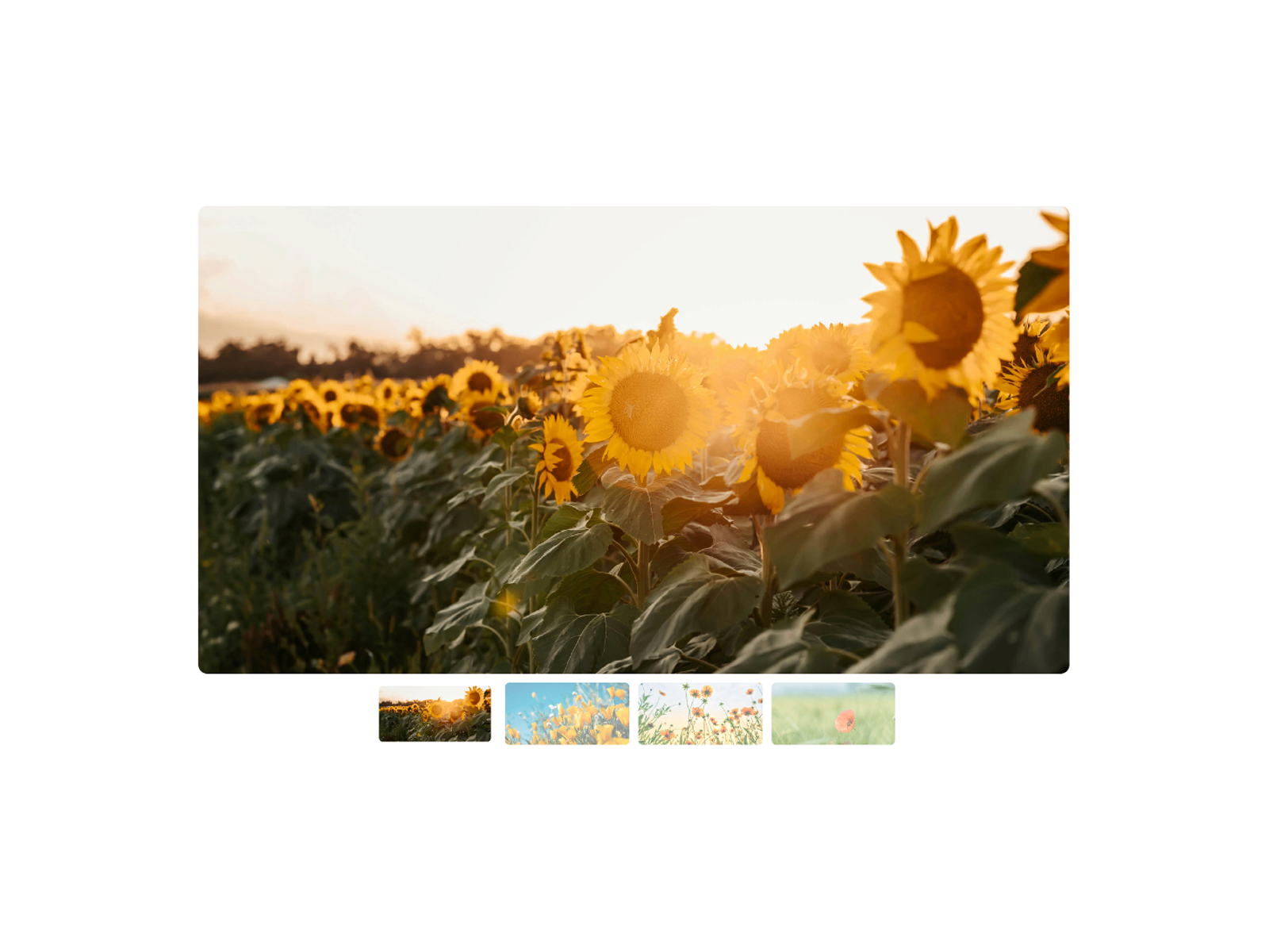 Fade Switching: Free UI Component by Kou Kankitsu — Framer Marketplace