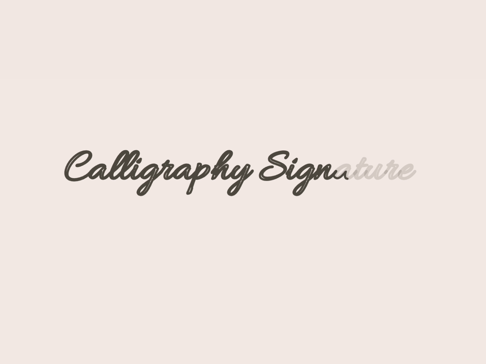 CalligraphySignature: Free Typography Component by Chy 🐾 — Framer ...