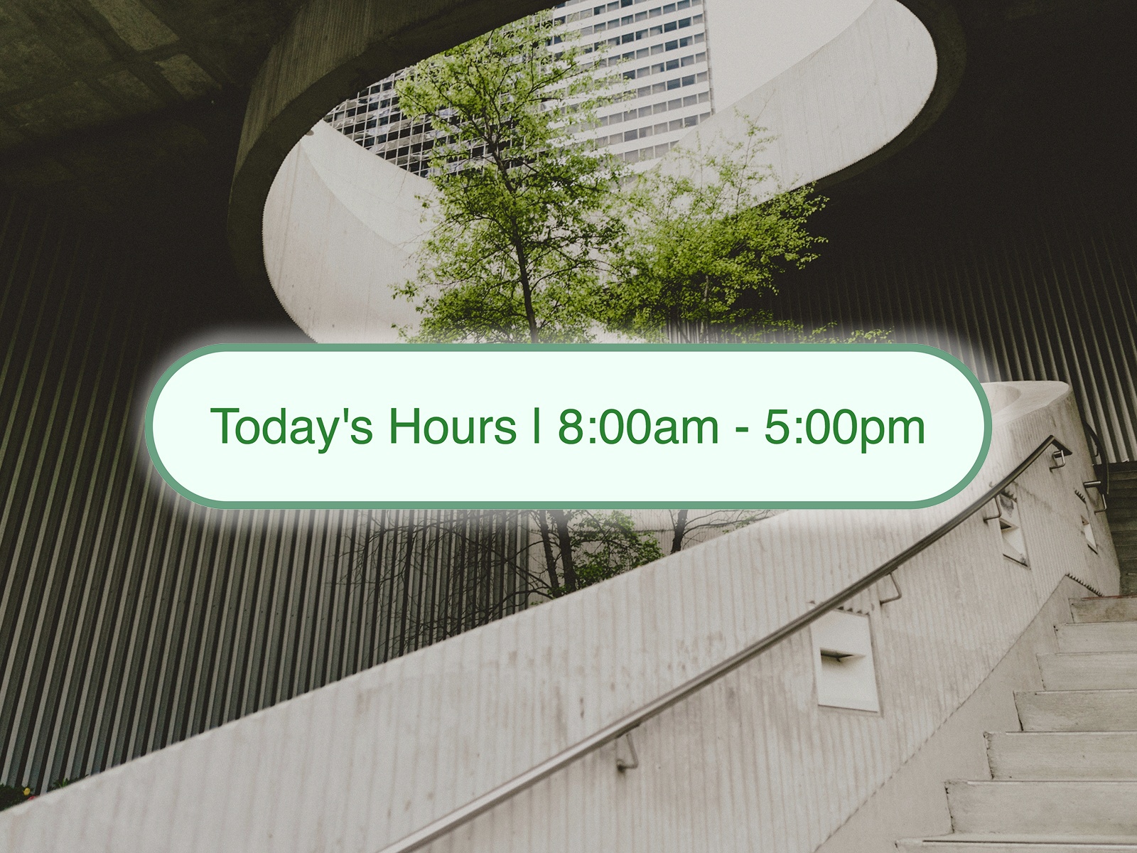 Today's Hours Chip: Premium Buttons Component by Melty — Framer Marketplace