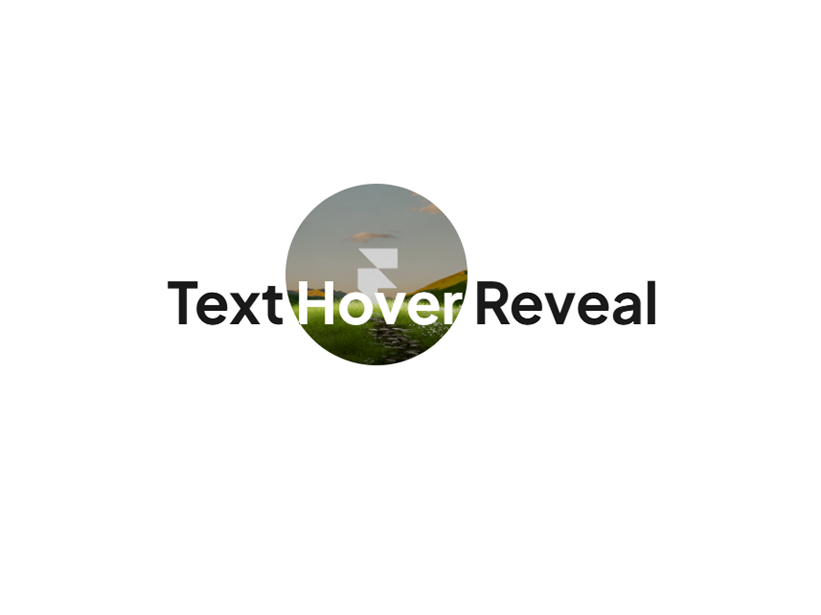 Text Hover Reveal: Free Typography Component by Masum Iqbal — Framer ...
