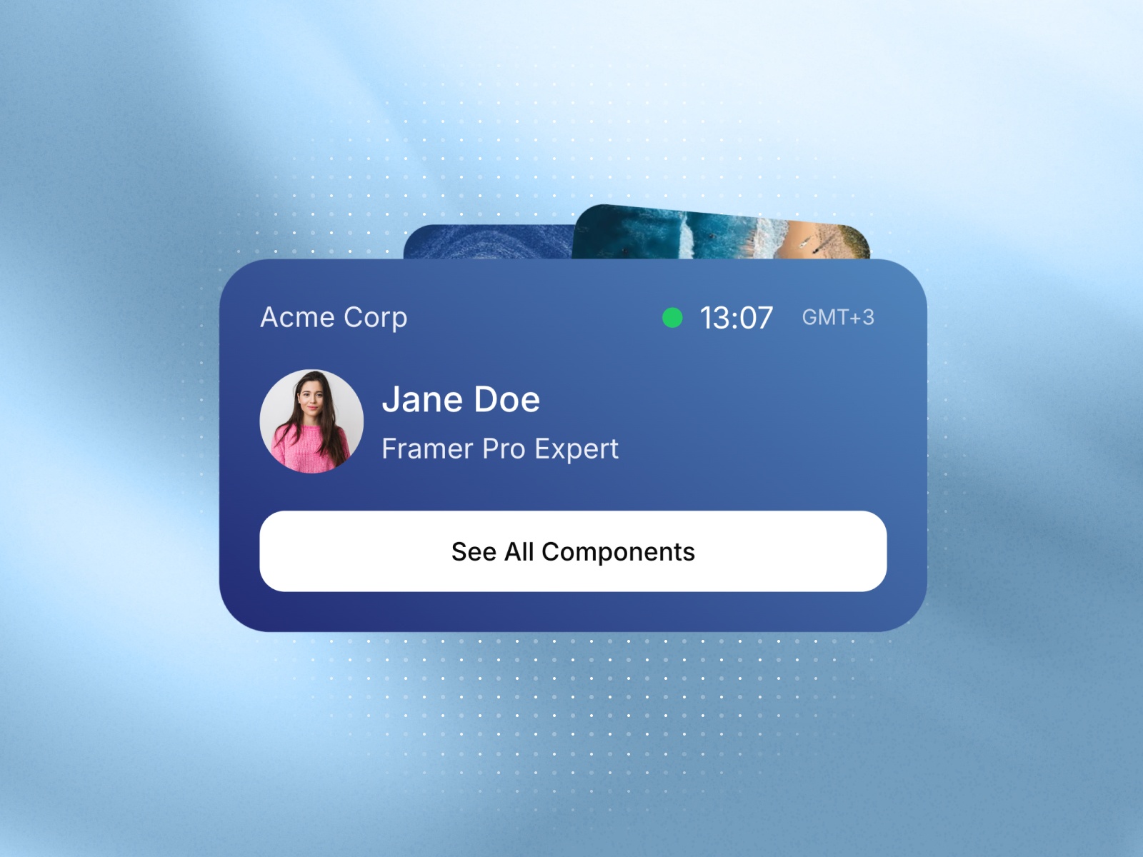 Component Showcase Premium Component By Goran Babarogic Framer