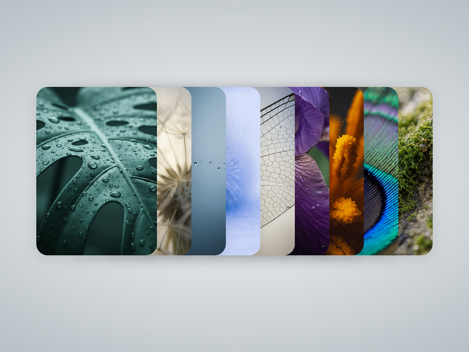 Card Deck Spread: Premium UI Component by Rafael Rodrigues — Framer Marketplace