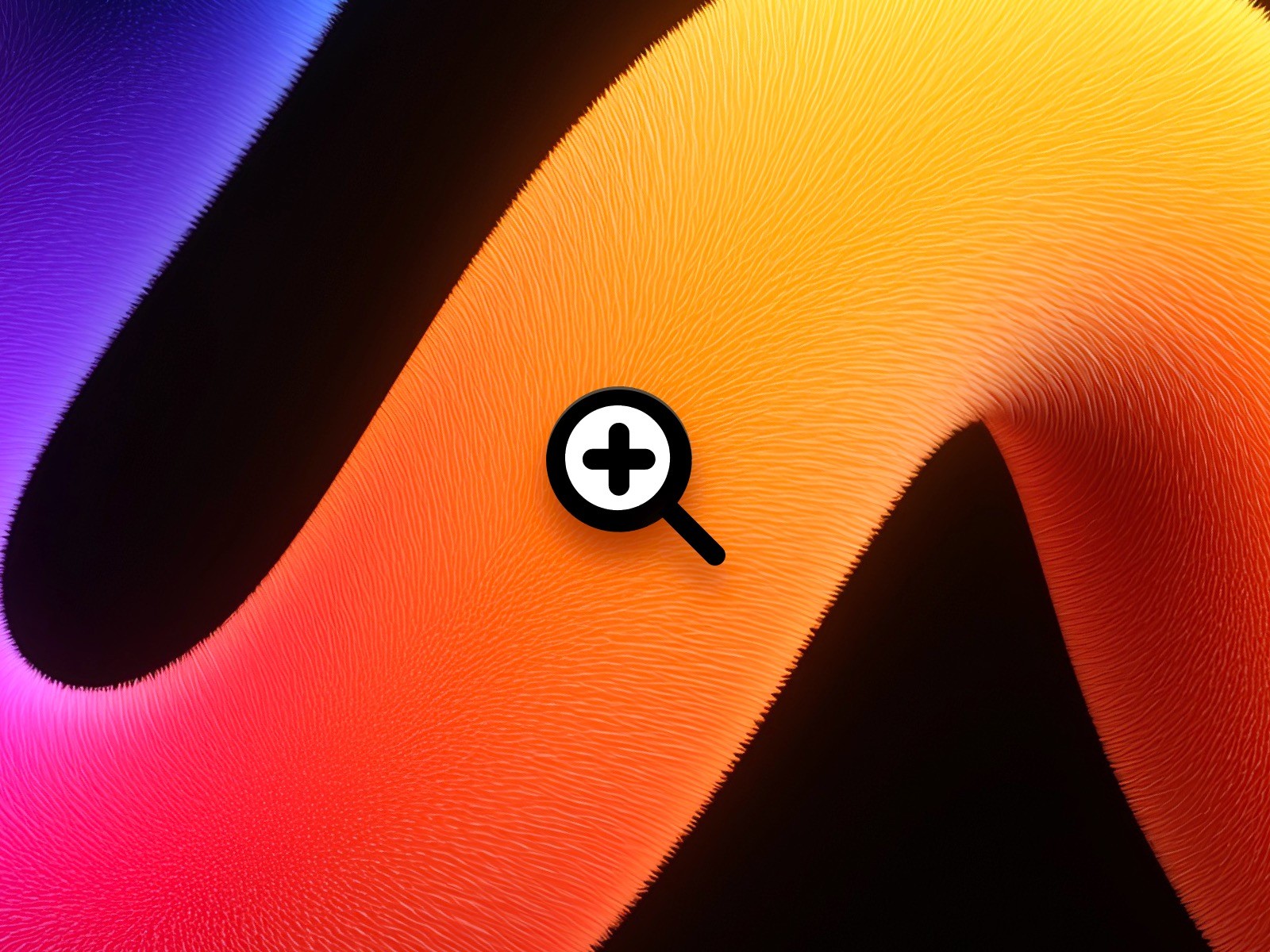 Hover Zoom: Free UI Component by Jurre — Framer Marketplace