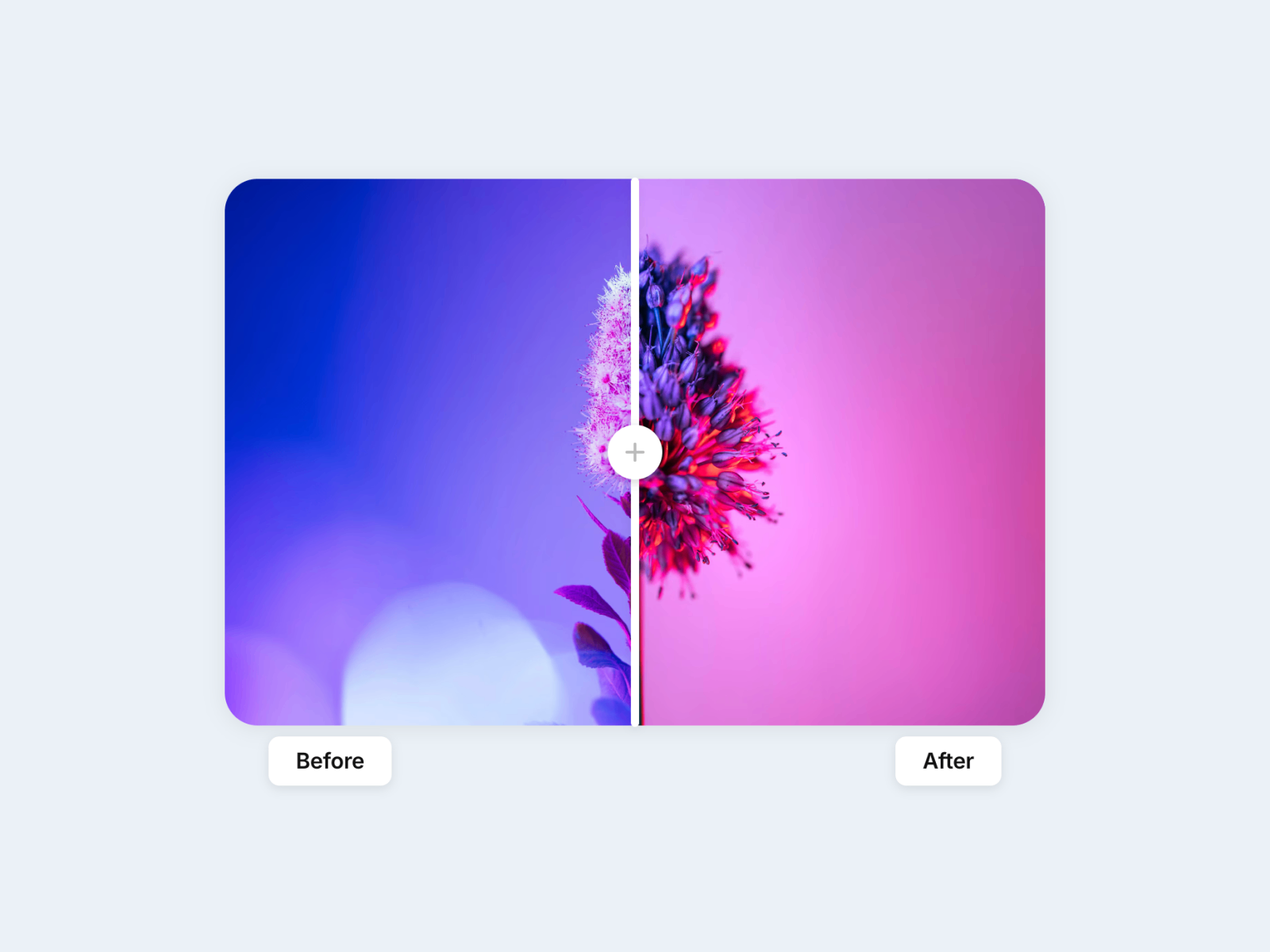 Image Comparison: Premium Carousels Component by Samir — Framer Marketplace