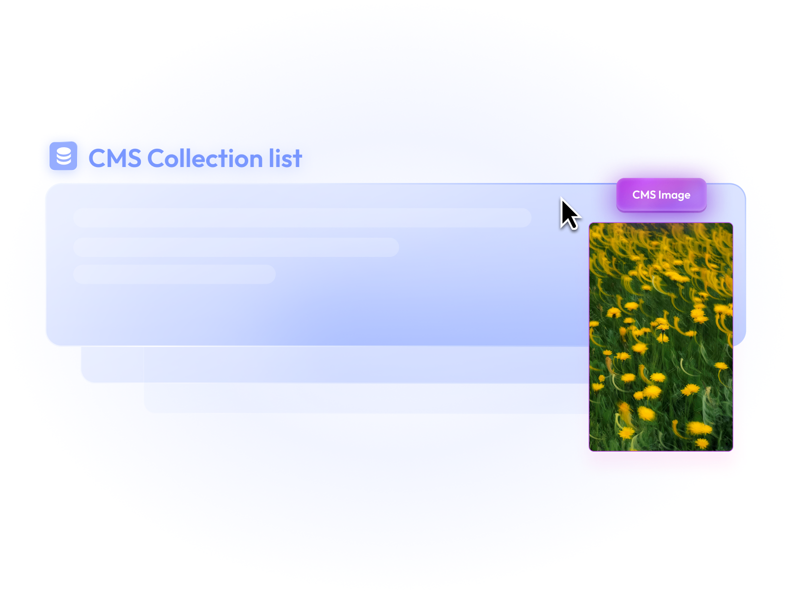 CMS Image on Hover: Premium Component by Framer Master — Framer Marketplace