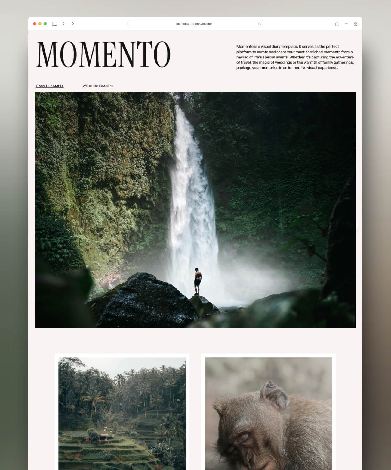 Momento: Responsive Photography Website Template by Lauren Waller ...