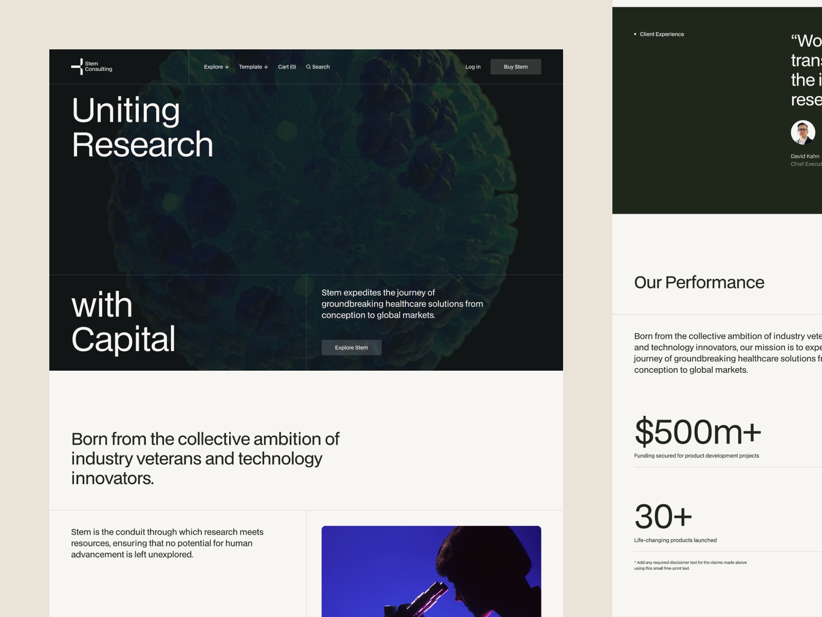 Stem Capital: Responsive Business Website Template by Craig Garner ...