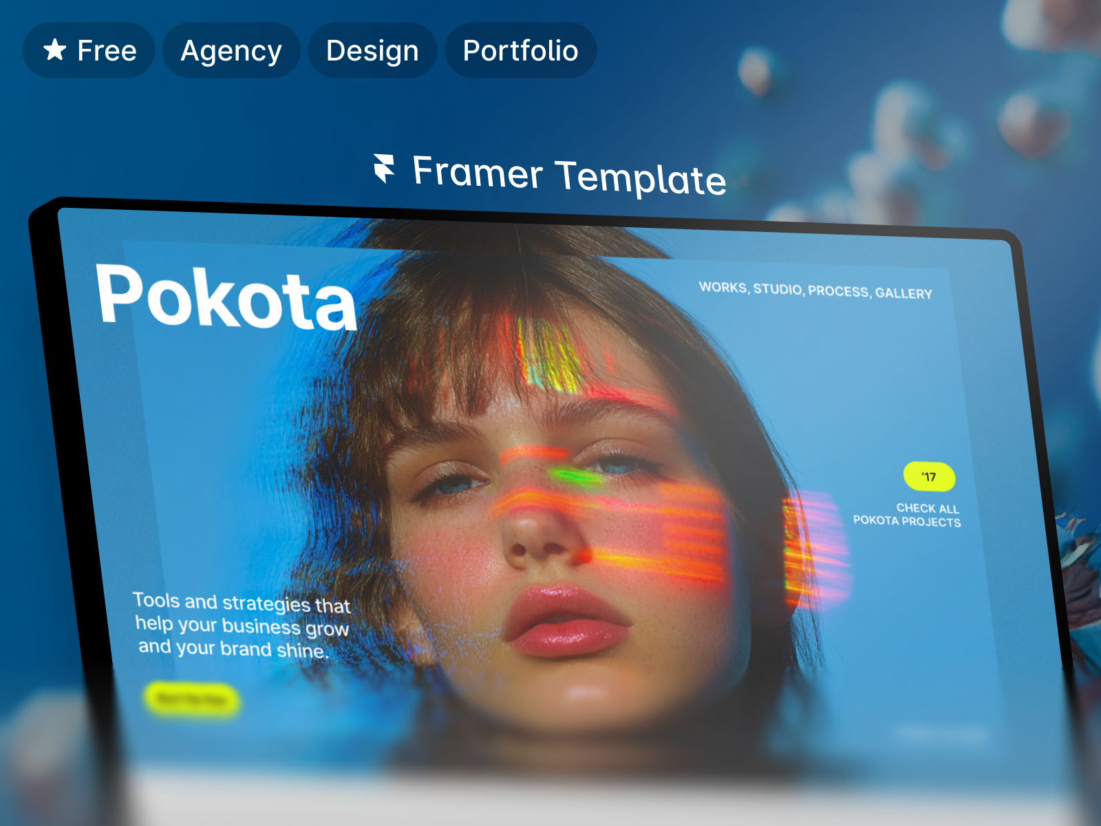 Pokota: Free Portfolio Website Template by Jakke Dea — Framer Marketplace